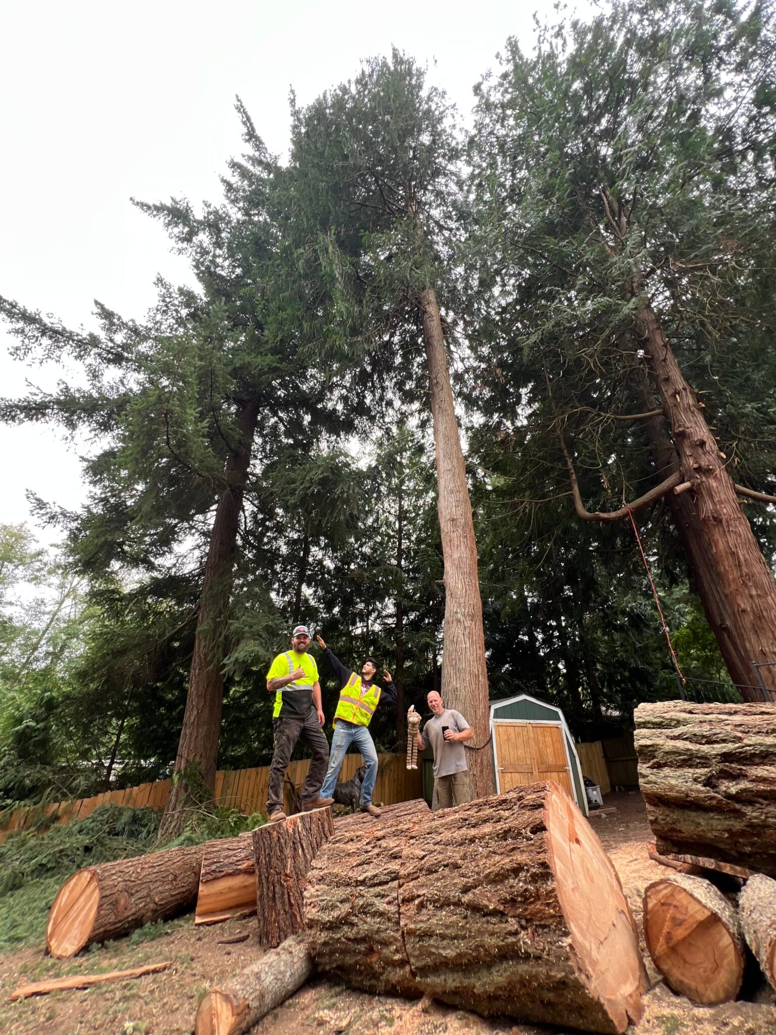 About - Jake’s Tree Service